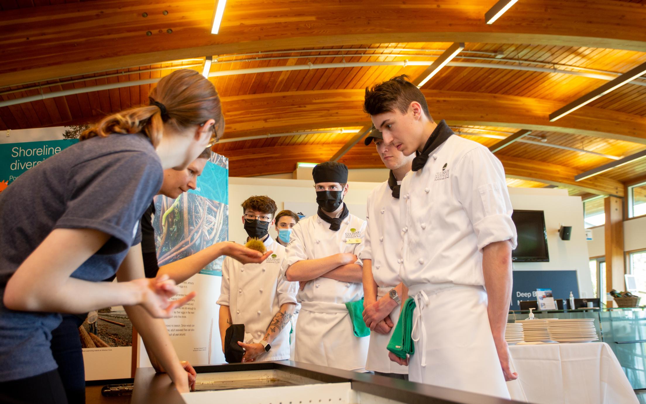 VIU Media Highlights: February 16 | News | Vancouver Island University ...