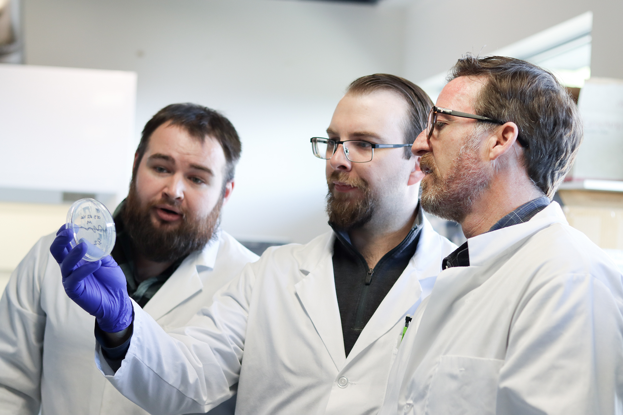 VIU researcher developing better tools to detect and manage bacterial ...