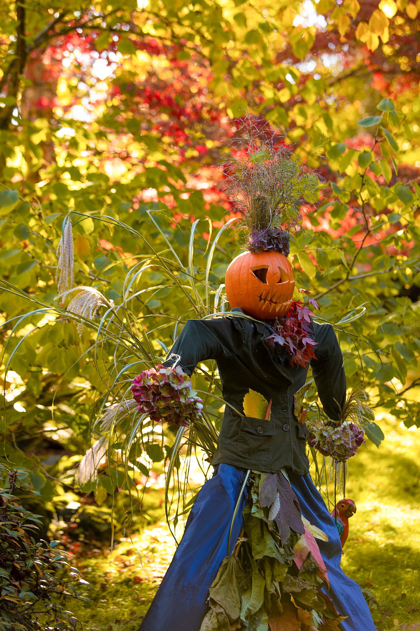 Celebrate autumn during Milner Gardens & Woodland’s Scarecrow ...